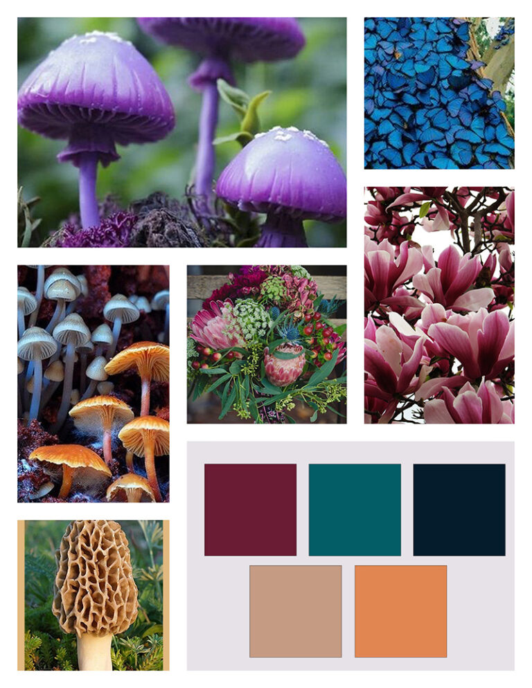 Dominique Collins – The Designer Project - Digital Fabrics